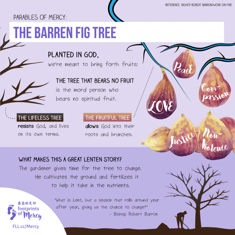 Learn about Mercy – The Footprints of Mercy
